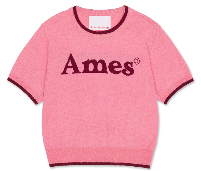 AMES WORLDWIDE